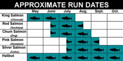 Alaska Fish Run Dates | Petersburg | Island Point Lodge